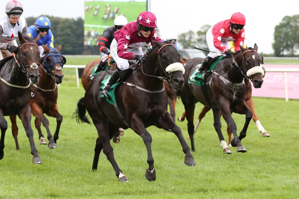 WINNER! Racquet wins his second race of the year - 20th August 2018 ...