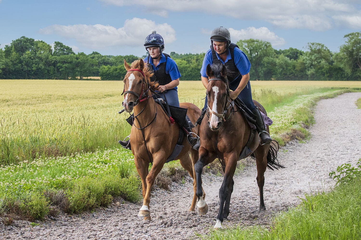 Summer Mornings on the gallops and paddocks - July 16th 2021 - Ruth ...