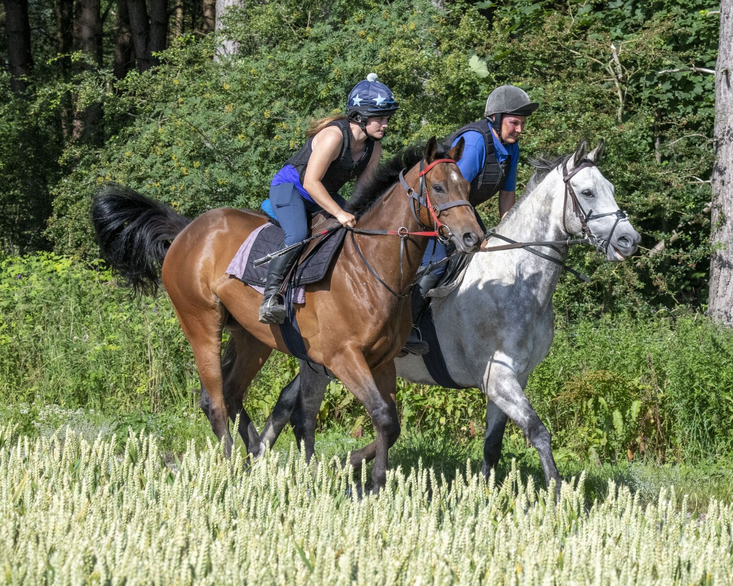 Summer Mornings on the gallops and paddocks - July 16th 2021 - Ruth ...