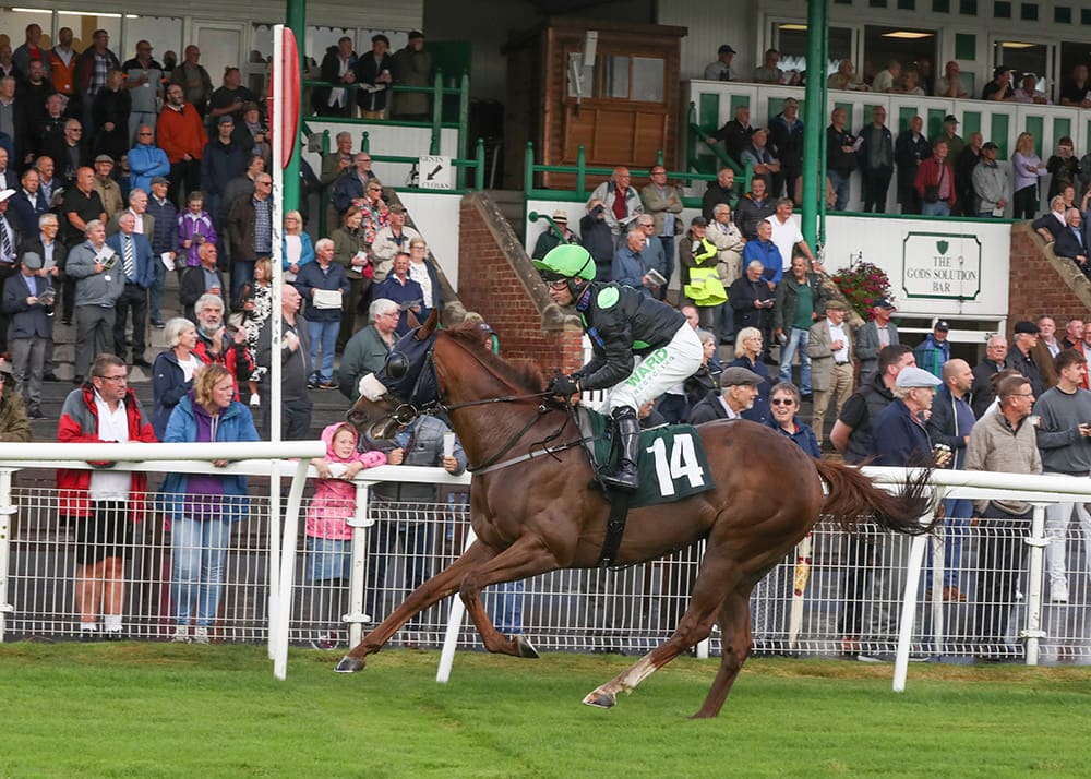 WINNER! Magical Effect at Catterick - 6th September 2022 - Ruth Carr Racing