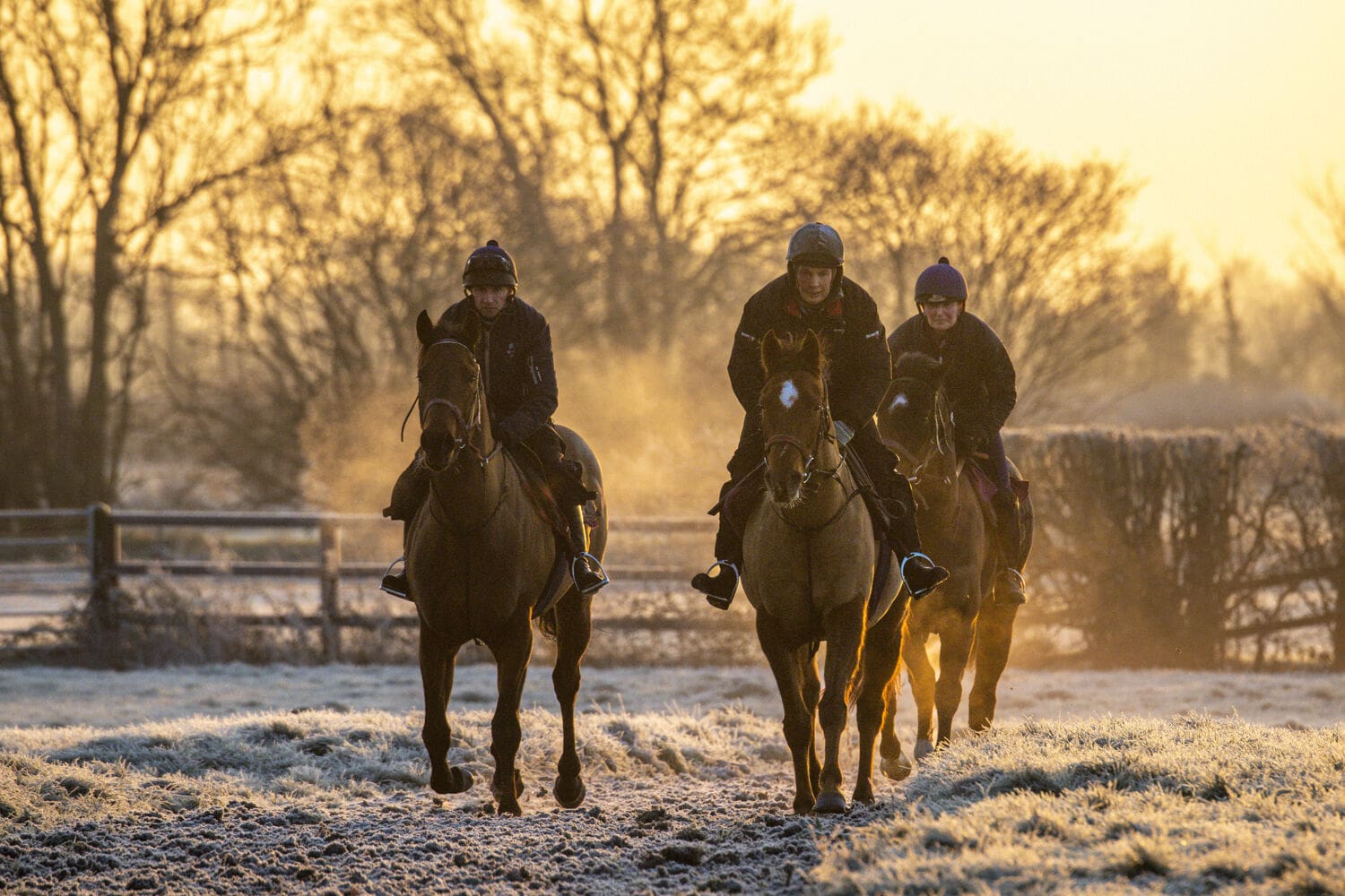 Galleries Archive - Ruth Carr Racing
