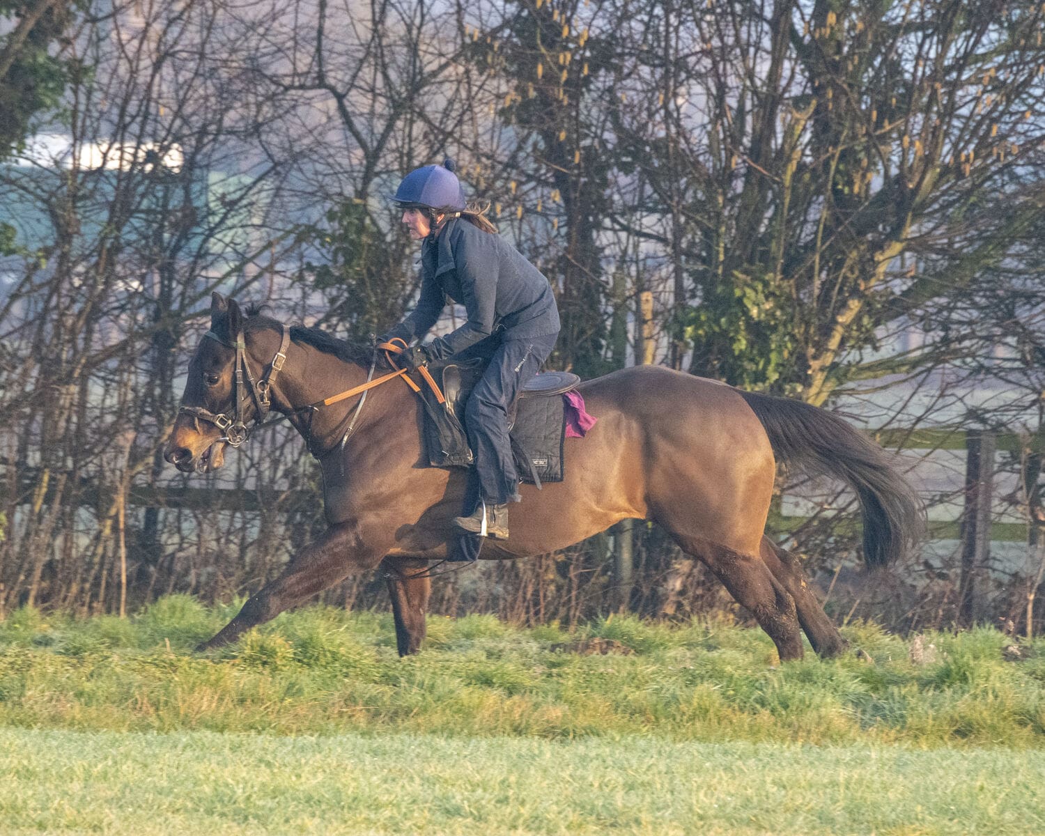 A Morning at the Yard - 15th February 2023 - Ruth Carr Racing