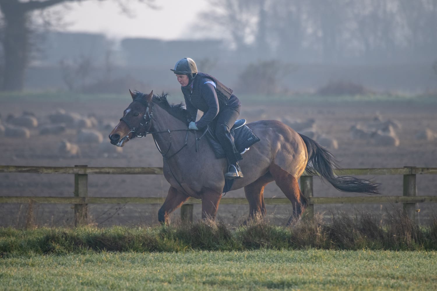 A Morning at the Yard - 15th February 2023 - Ruth Carr Racing