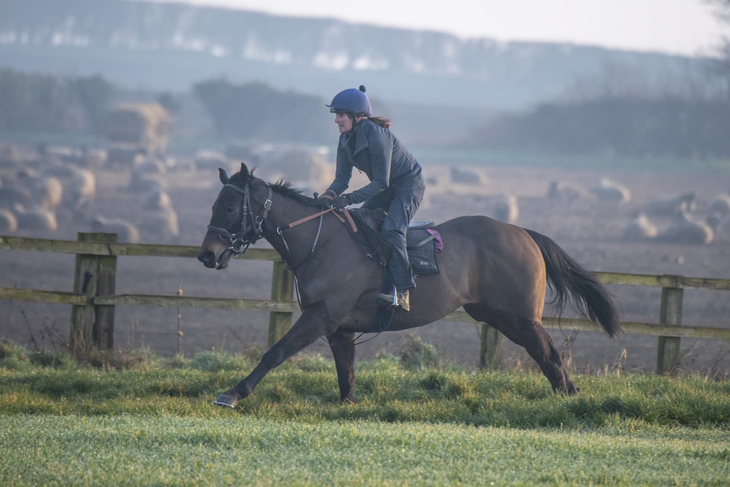 A Morning at the Yard - 15th February 2023 - Ruth Carr Racing
