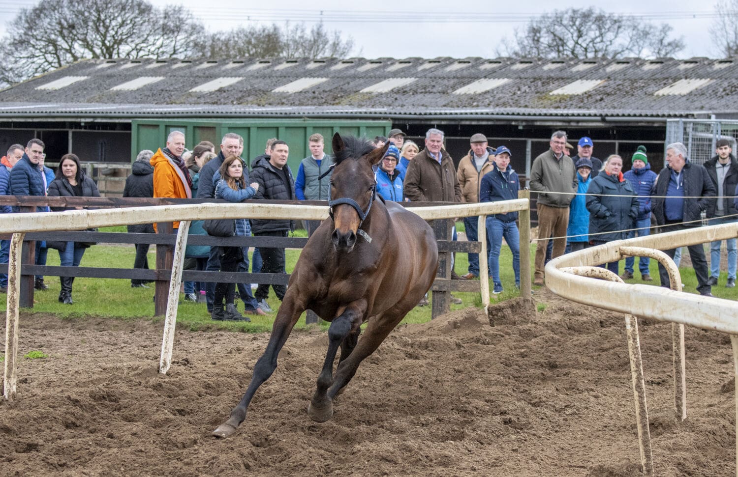 Clear Cut Racing Open Morning - 1st April 2023 - Ruth Carr Racing