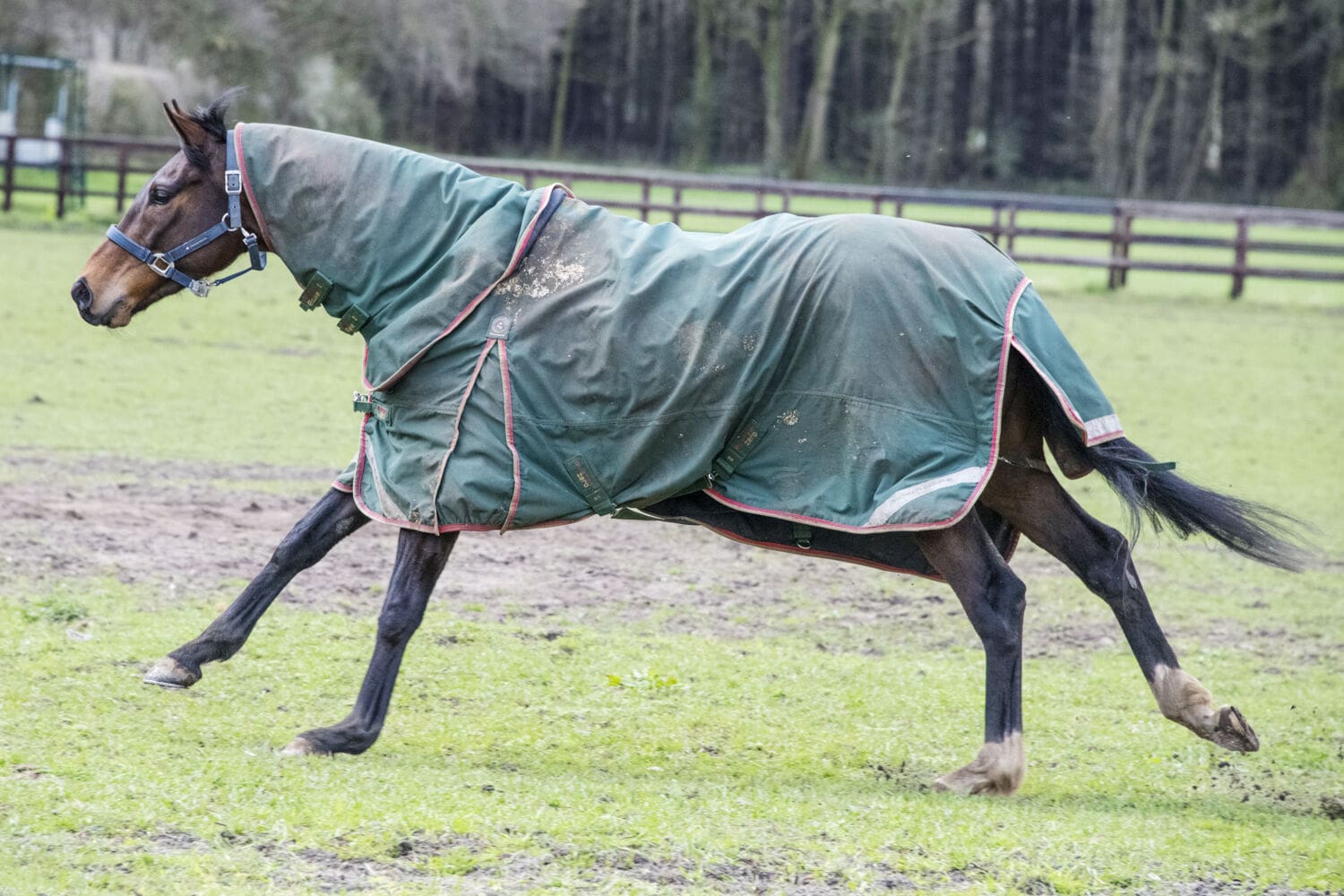 Clear Cut Racing Open Morning - 1st April 2023 - Ruth Carr Racing