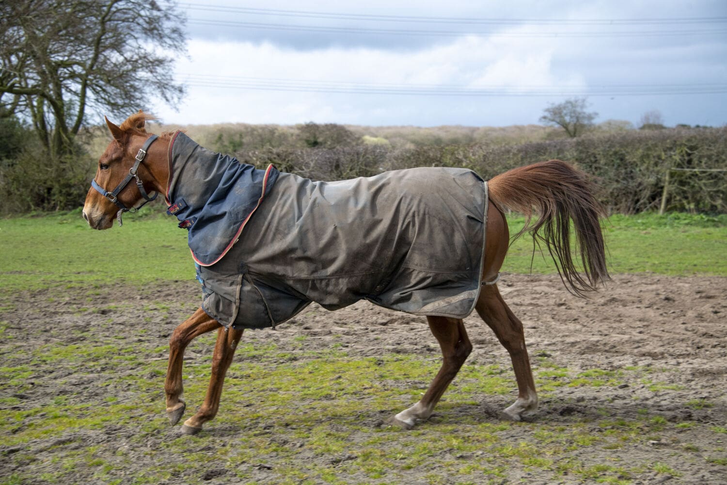 Clear Cut Racing Open Morning - 1st April 2023 - Ruth Carr Racing