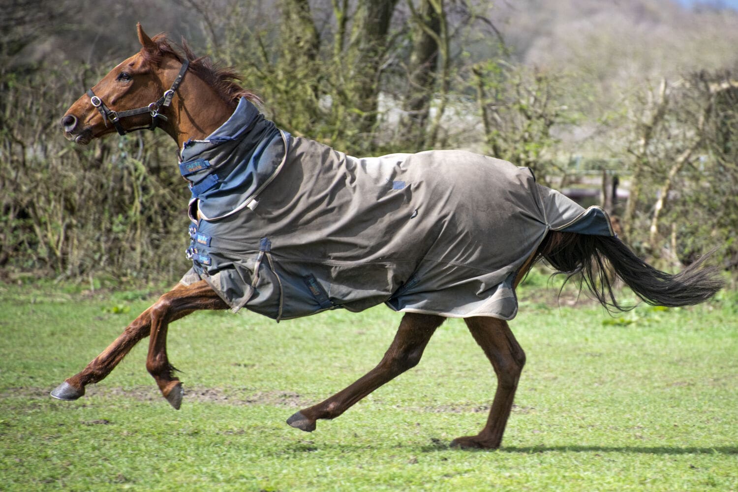 Clear Cut Racing Open Morning - 1st April 2023 - Ruth Carr Racing