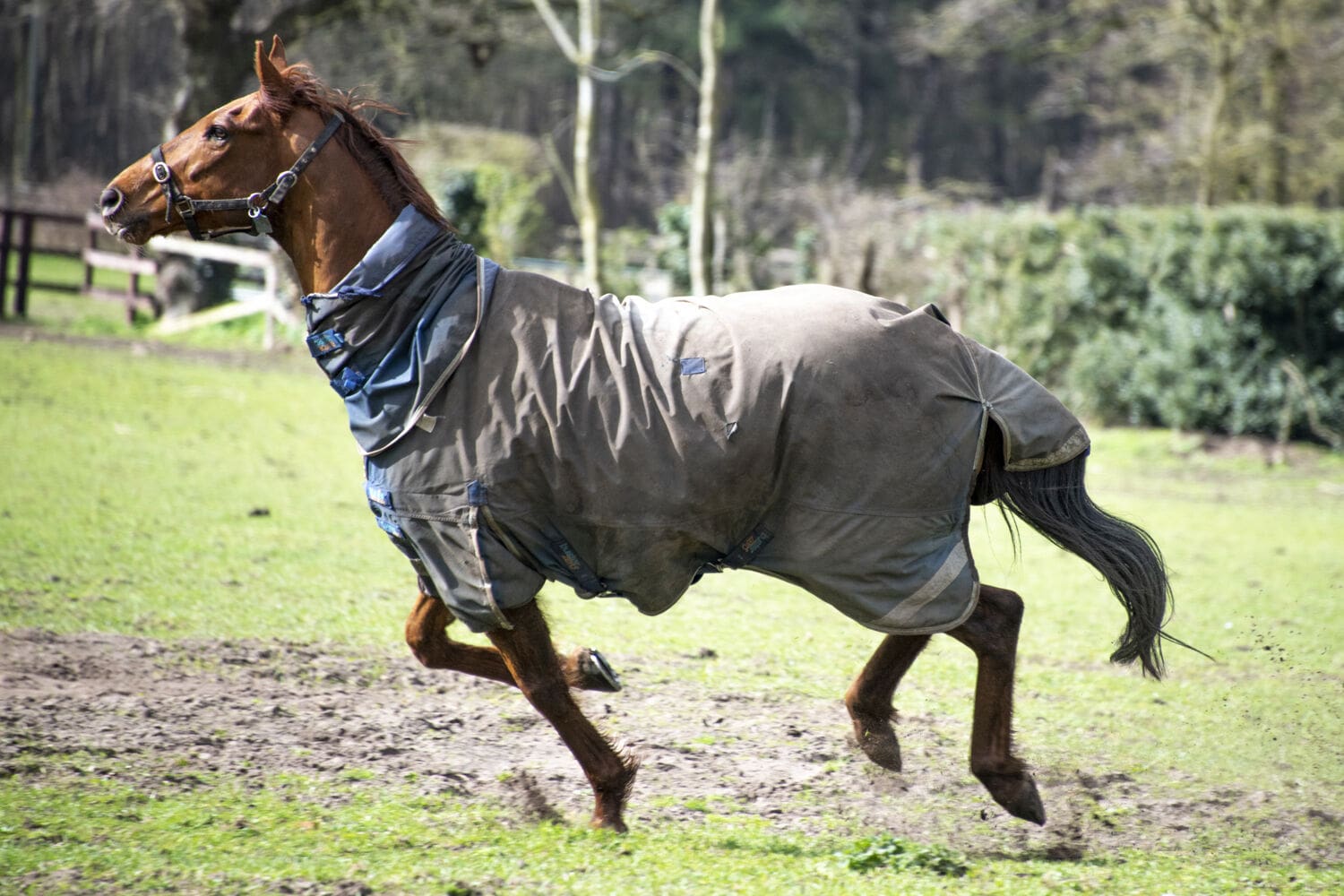 Clear Cut Racing Open Morning - 1st April 2023 - Ruth Carr Racing