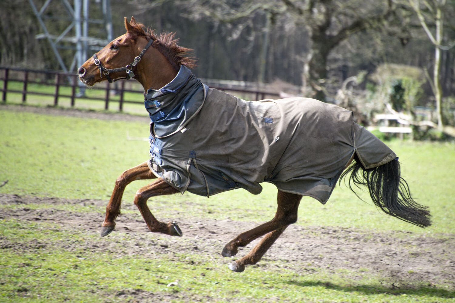 Clear Cut Racing Open Morning - 1st April 2023 - Ruth Carr Racing