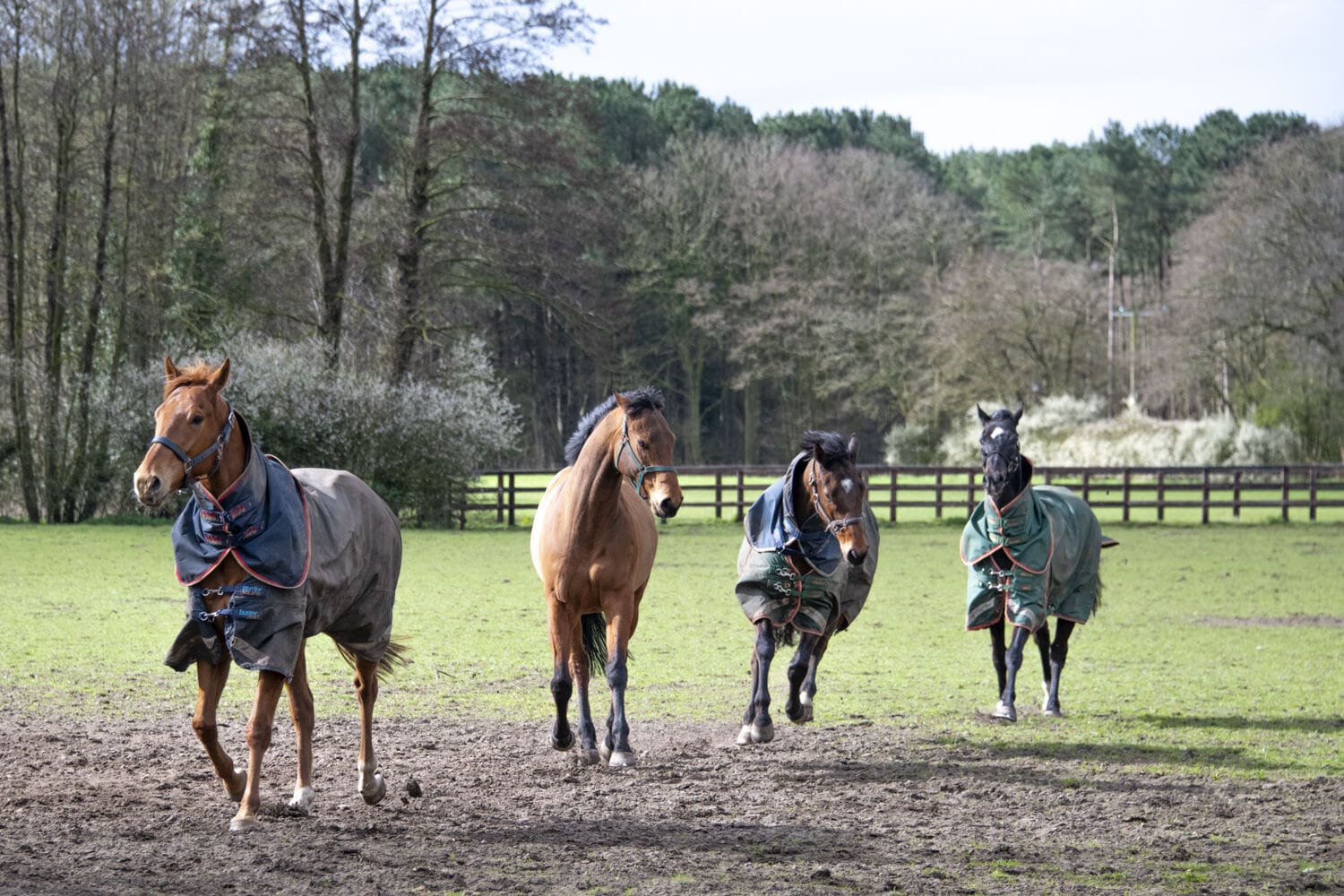 Clear Cut Racing Open Morning - 1st April 2023 - Ruth Carr Racing