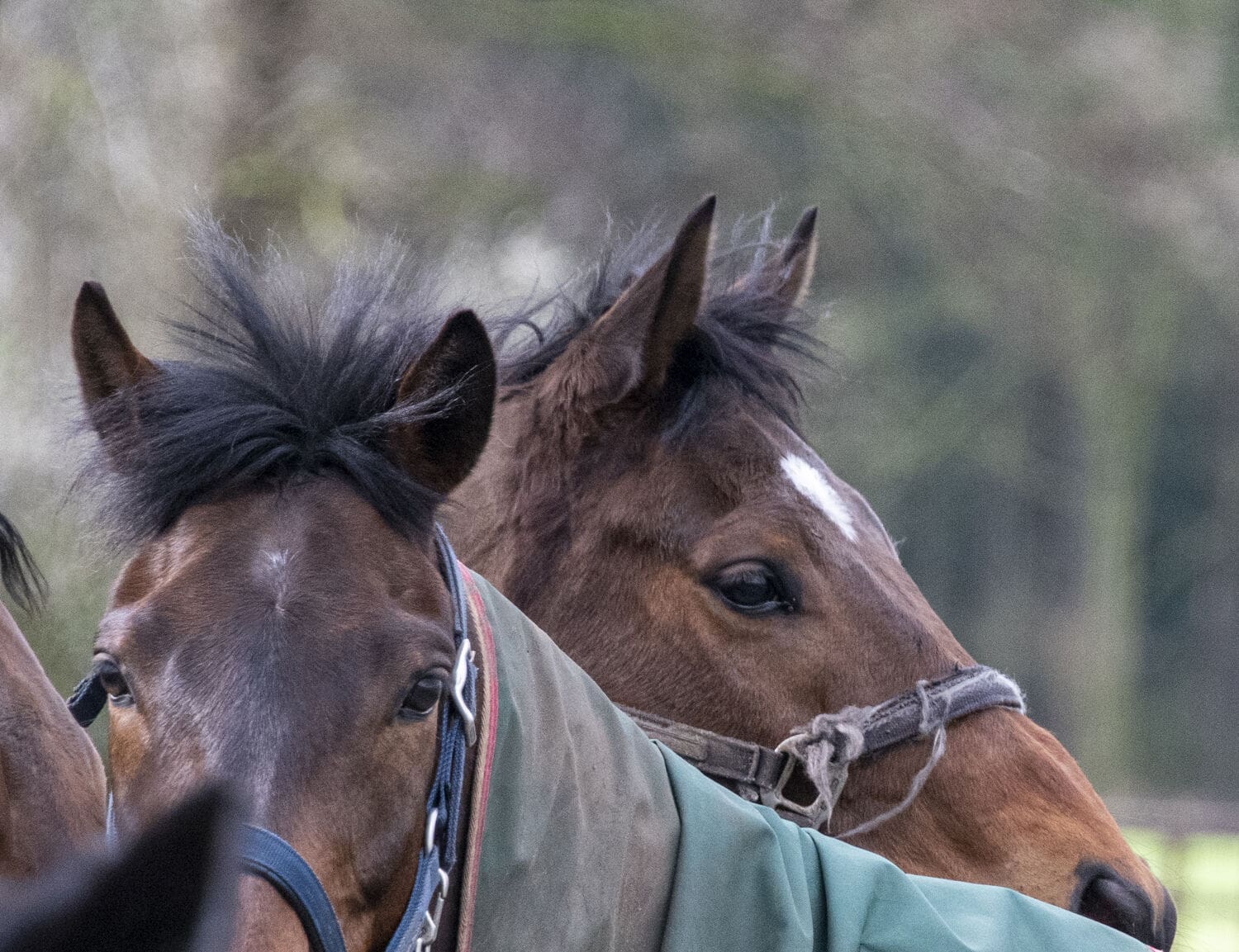 Clear Cut Racing Open Morning - 1st April 2023 - Ruth Carr Racing
