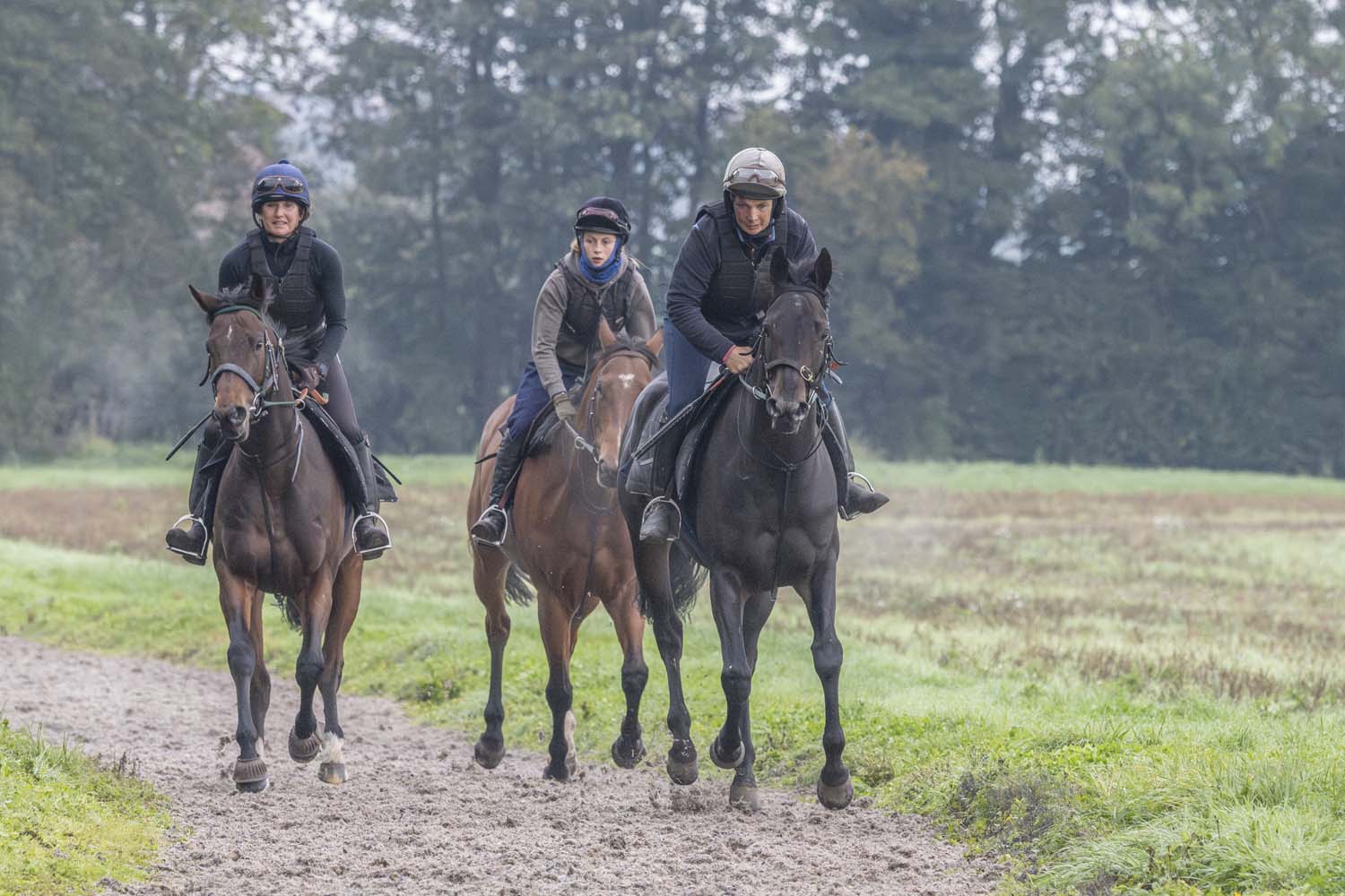 Galleries Archive - Ruth Carr Racing