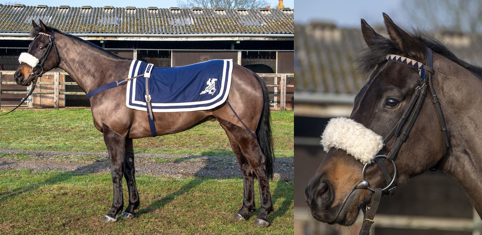 Racing Club - Ruth Carr Racing