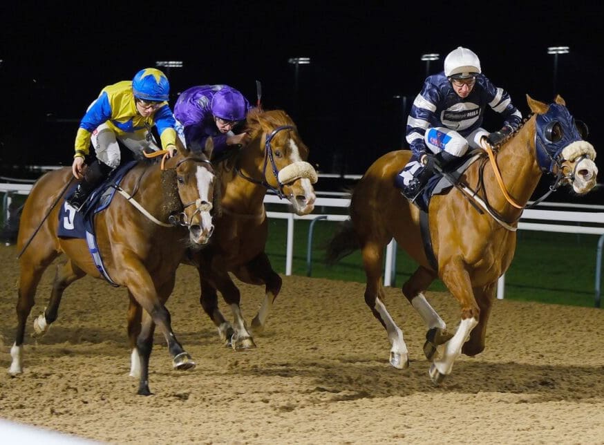 WINNER! Hard Solution at Southwell - 21st March 2024 - Ruth Carr Racing
