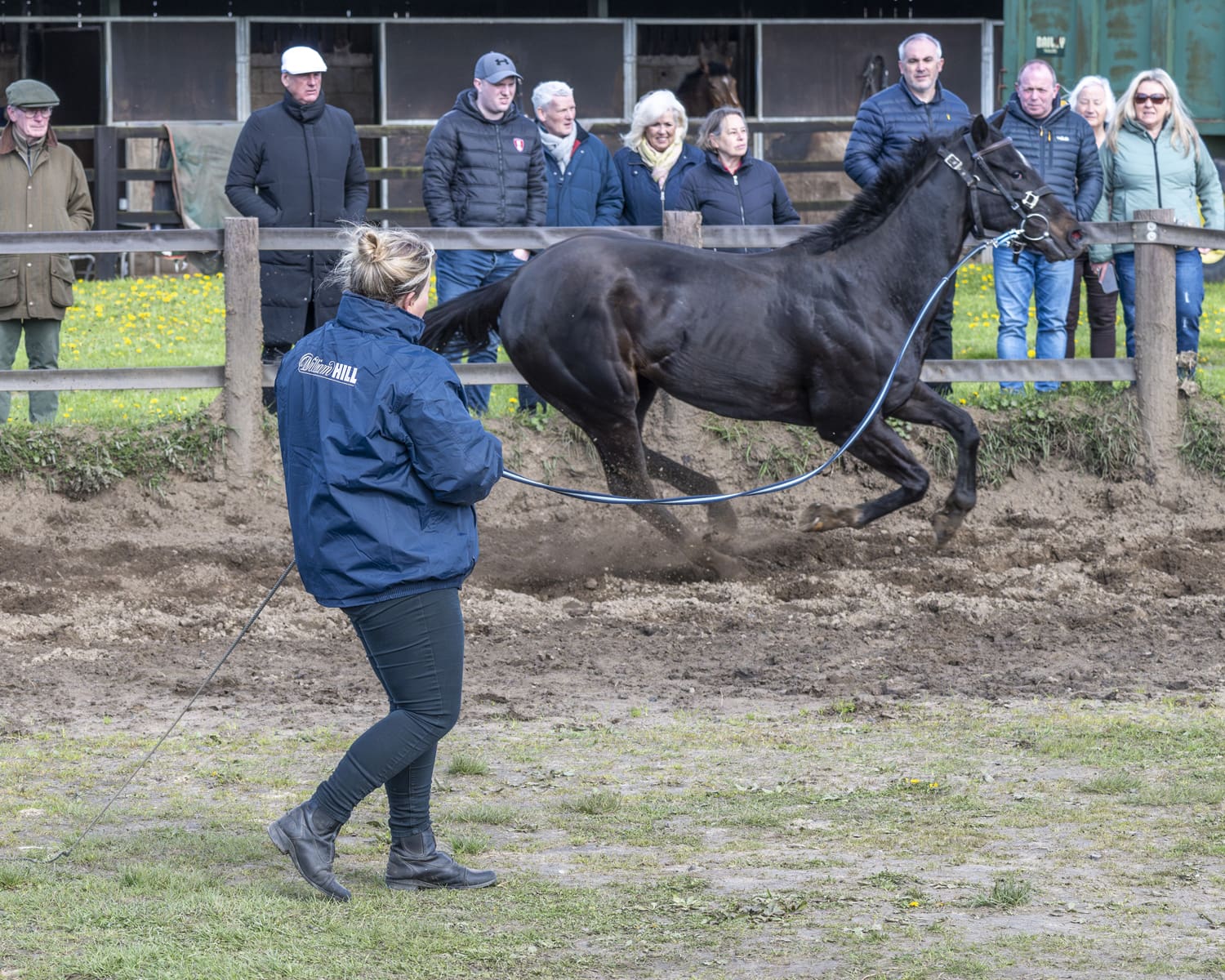 Open Morning - 20th April 2024 - Ruth Carr Racing