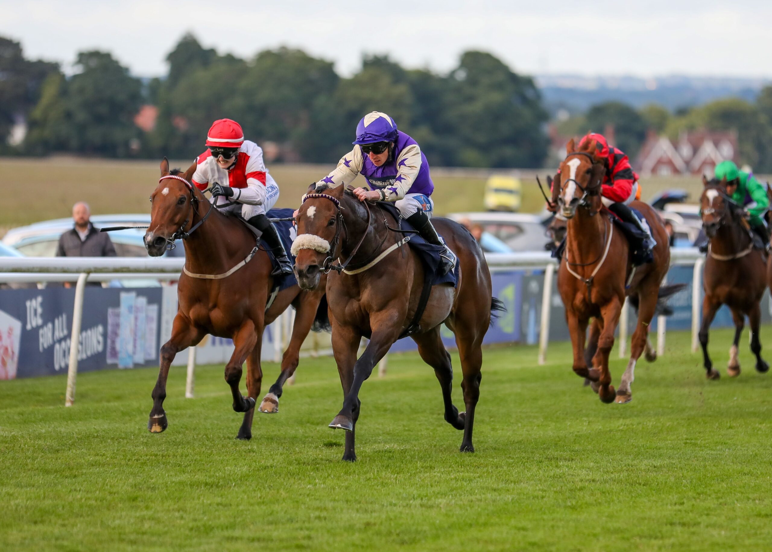 WINNER! Makalu at Beverley - 18th June 2024 - Ruth Carr Racing