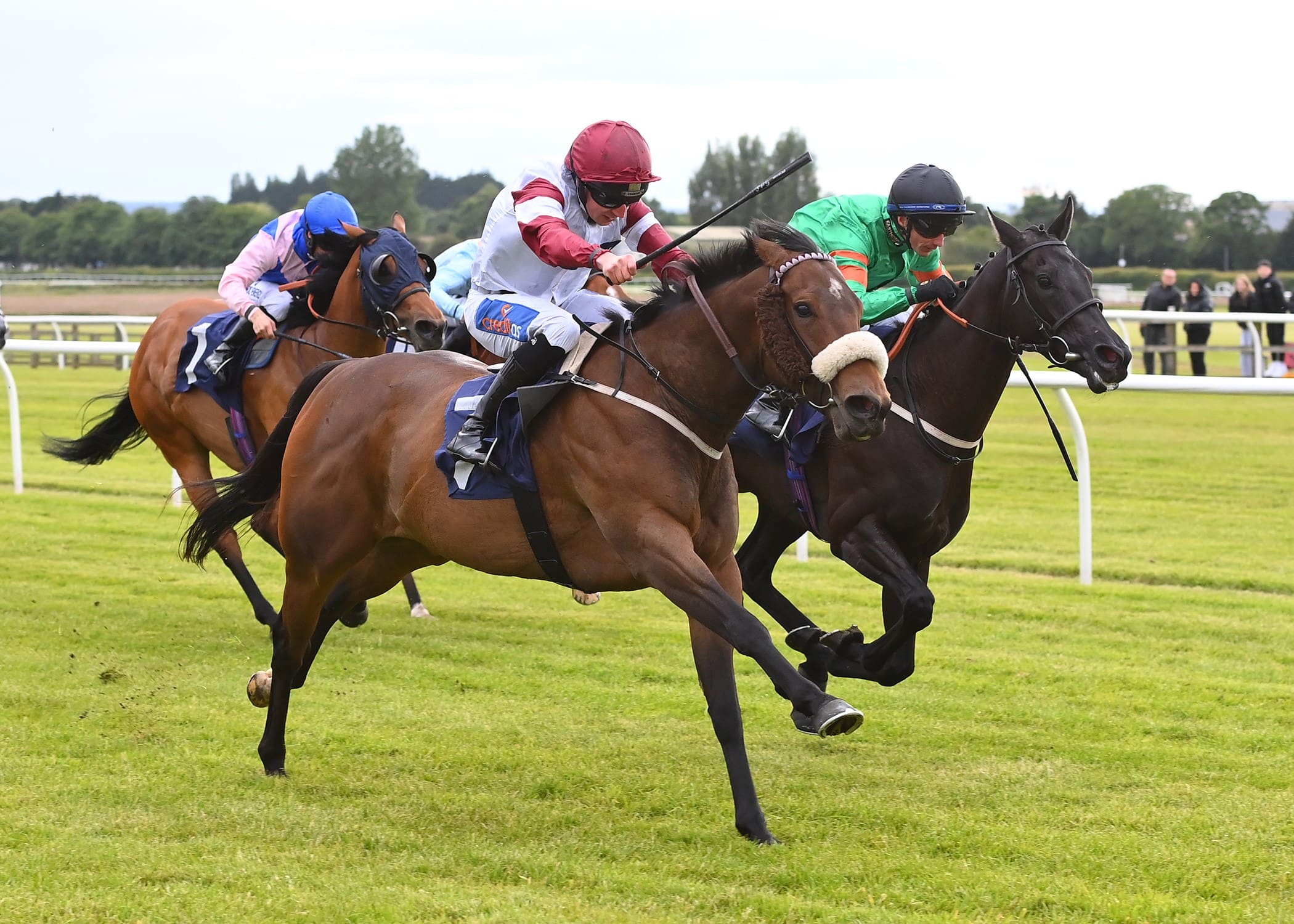 WINNER! Daytona Star at Wetherby - 11th June 2024 - Ruth Carr Racing