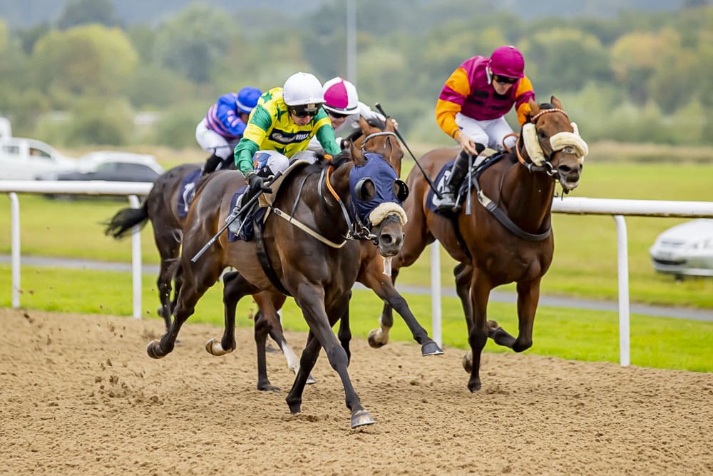 WINNER! Fools Rush In Wolverhampton - 7th September 2024 - Ruth Carr Racing